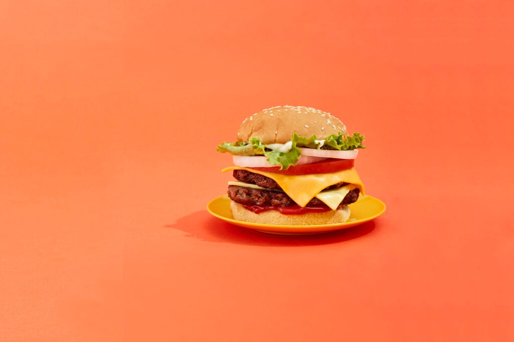 FOOD SERVICE - GOOD PLANeT Foods